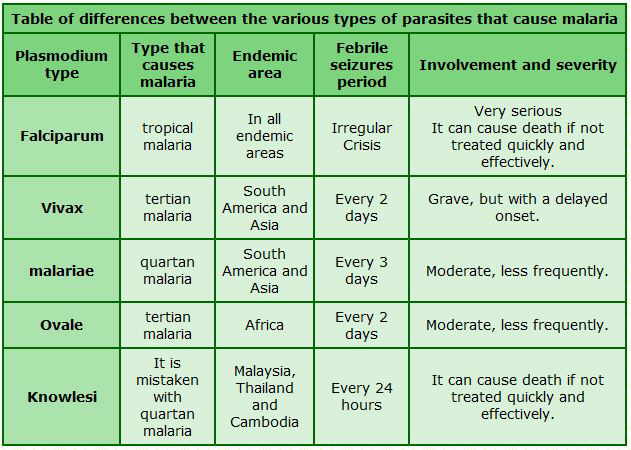 Which Of Malaria Is Malignant And Fatal Explain It