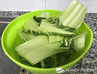 Receta de pencas de acelgas fritas – Botanical-online