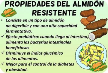 Propiedades del almidón resistente – Botanical-online
