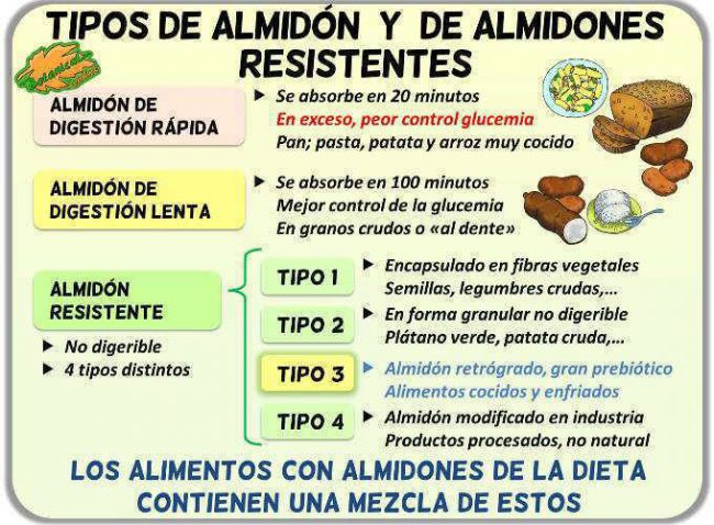 Tipos de almidón y de almidón resistente – Botanical-online