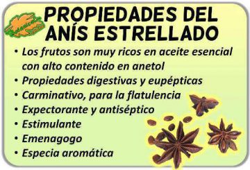 Propiedades del anís estrellado – Botanical-online