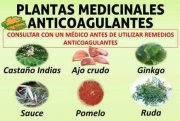 Anticoagulantes naturales – Botanical-online