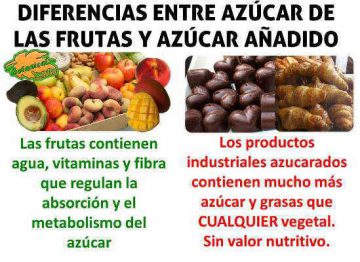Diferencias entre el azúcar refinado y el azúcar natural – Botanical-online