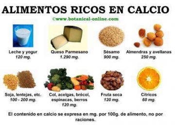 Beneficios del calcio – Botanical-online