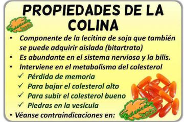 ¿Qué es y para qué sirve la colina? – Botanical-online