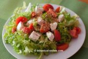 Ensalada con semillas de lino – Botanical-online
