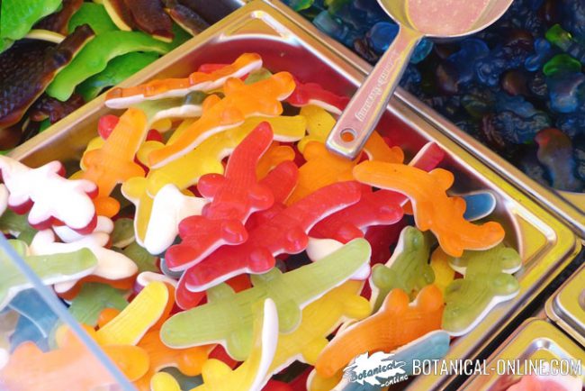 Suplementos de vitaminas, minerales y plantas medicinales para la ...