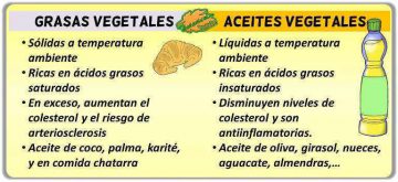 Diferencias entre aceites y grasas vegetales – Botanical-online