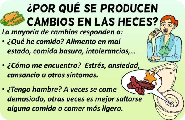 Significado del tipo y color de heces – Botanical-online