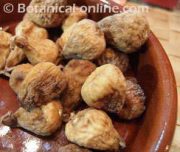 Propiedades de los higos secos – Botanical-online