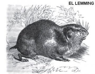Lemming en otros idiomas – Botanical-online