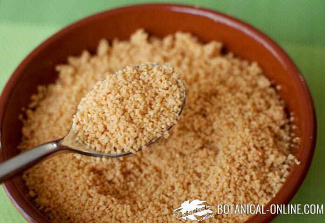 Propiedades de los mucílagos – Botanical-online