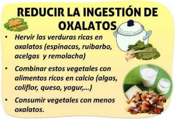 Cómo eliminar los oxalatos de los alimentos – Botanical-online