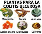 Plantas medicinales para la colitis ulcerosa – Botanical-online