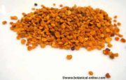 Propiedades del polen – Botanical-online
