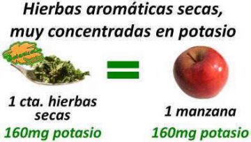 Lista de alimentos ricos en potasio – Botanical-online