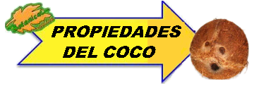 Composición del coco – Botanical-online
