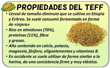 Propiedades del teff – Botanical-online