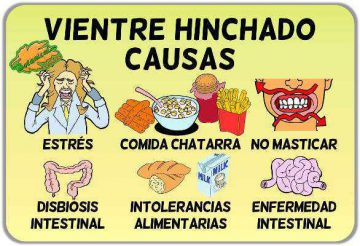 Barriga hinchada – Botanical-online