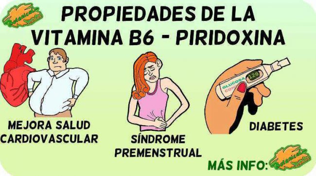 Usos de la vitamina B6 o piridoxina – Botanical-online