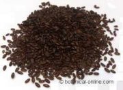 Propiedades de la zaragatona – Botanical-online