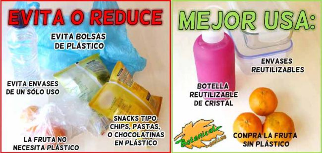Consejos para comprar y cocinar de forma mucho más ecológica ...
